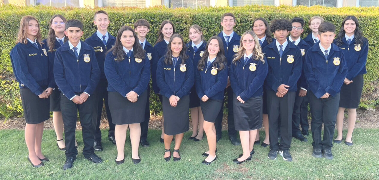 FFA provides a true ‘hands on’ experience for young people - The ...