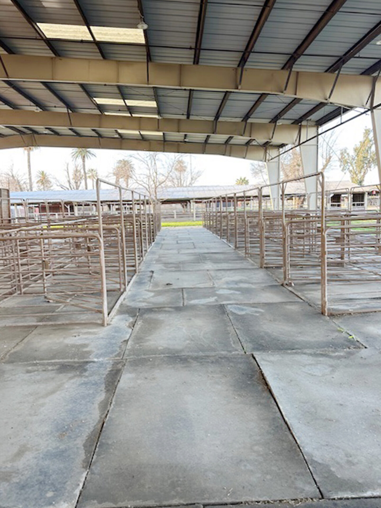 Renewed livestock pavilion named for Morning Star Packing Company - The ...