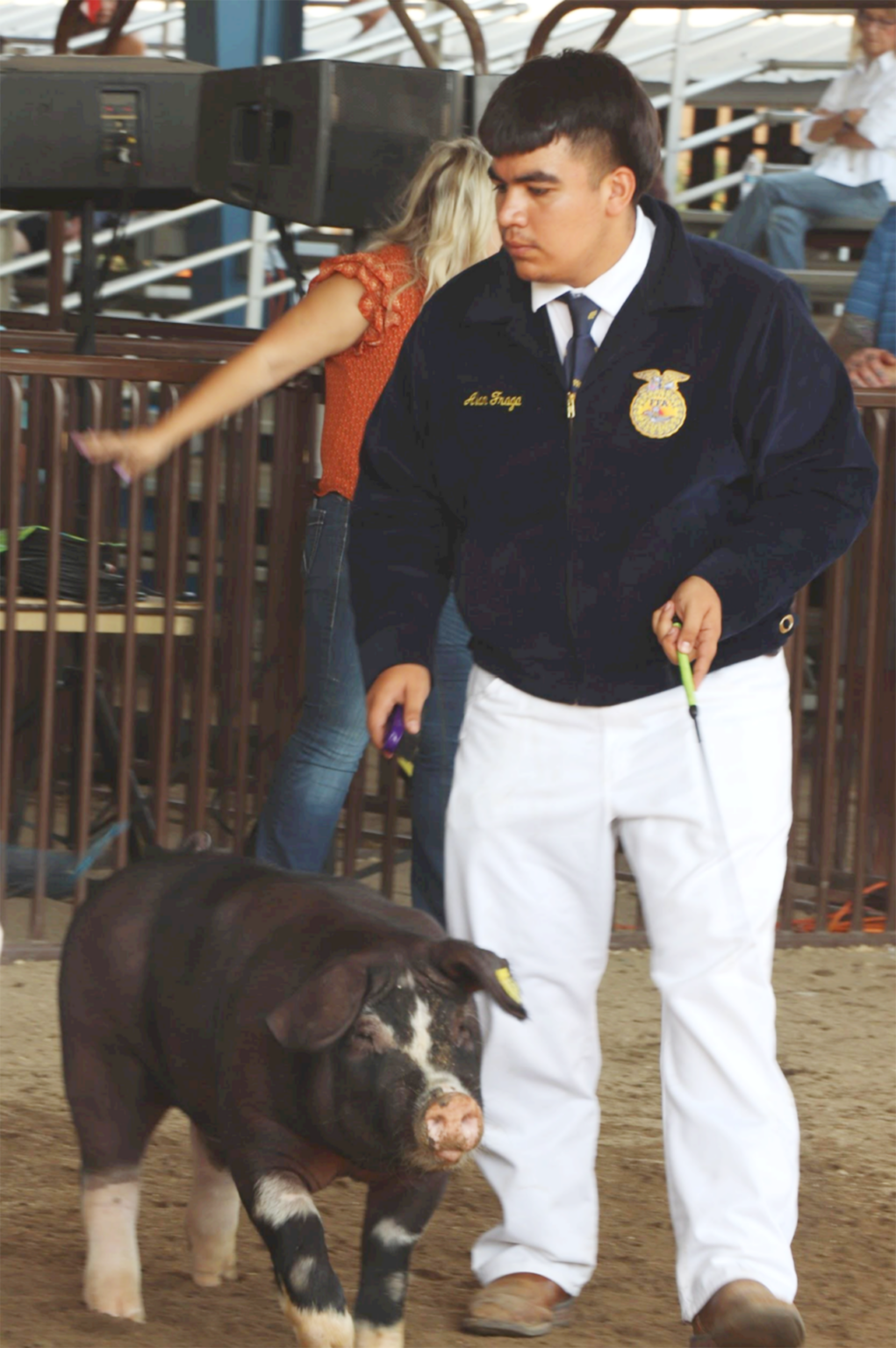 Firebaugh FFA Chapter members earn awards at 2025 Madera District Fair ...